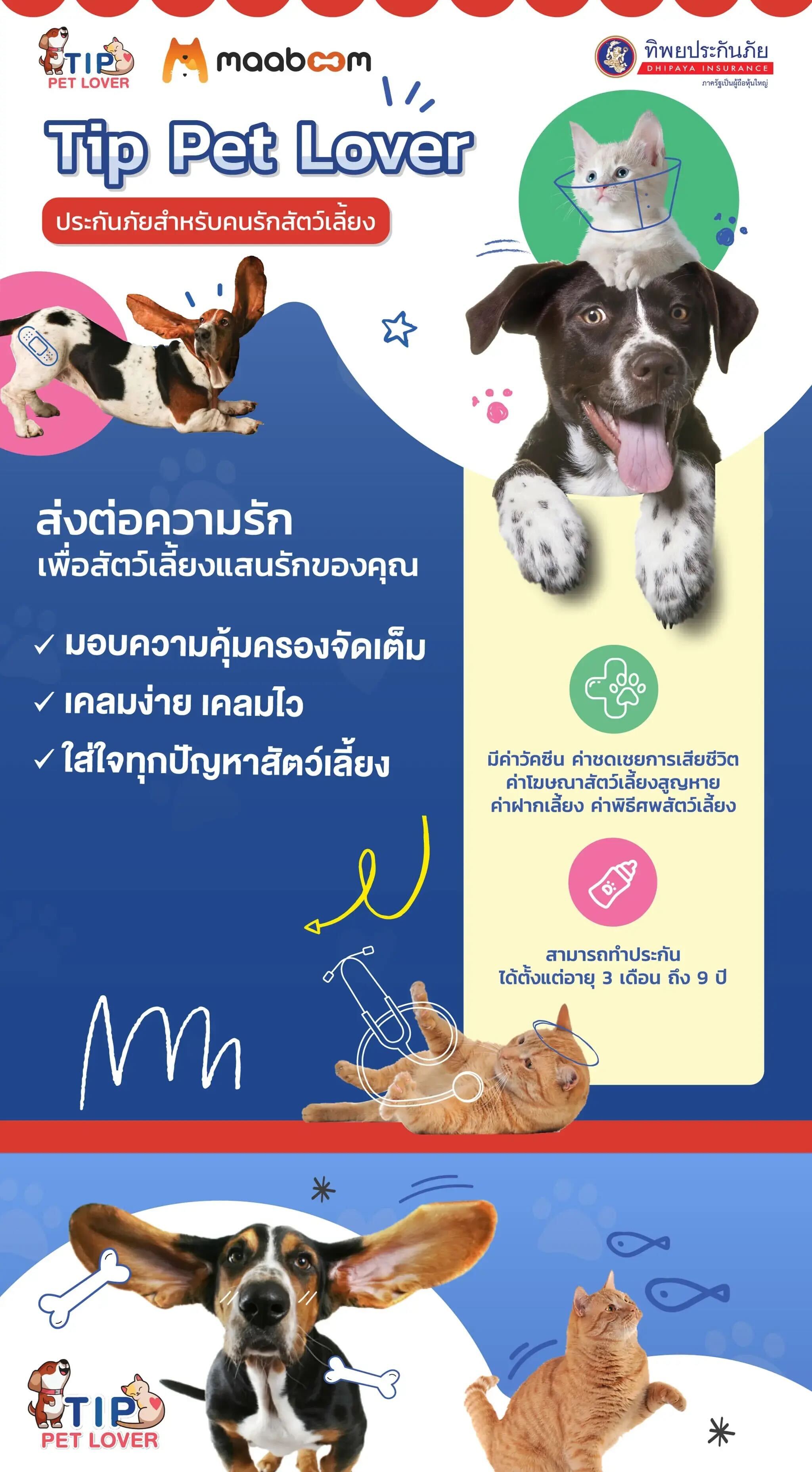 ประกันสัตว์เลี้ยงออนไลน์ Tip Pet Lover ประกันสำหรับคนรักสัตว์เลี้ยง | maaboom ศูนย์รวมร้านค้า ...